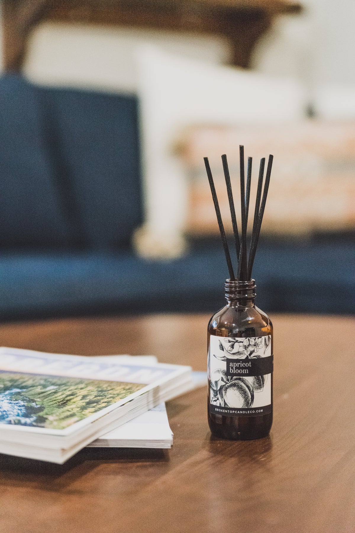 Coconut Sandalwood Reed Diffuser – Broken Top Brands